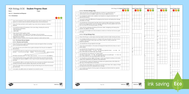 Homeostasis Progress Sheet | AQA Biology | Beyond
