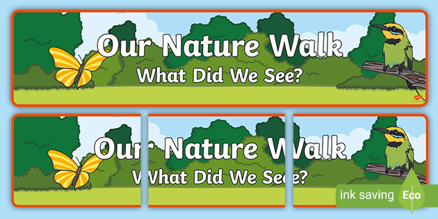 What We Discovered On Our Nature Walk Display Banner