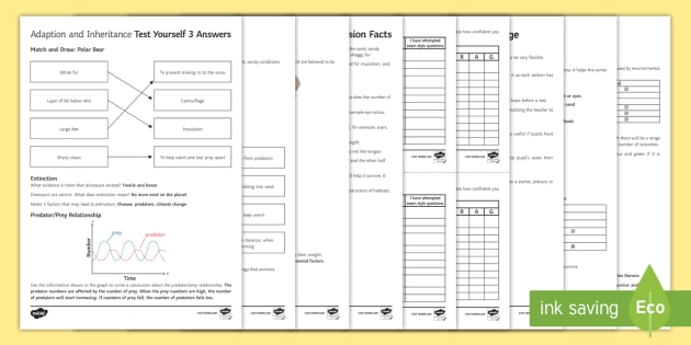 Adaptation Assessment Package