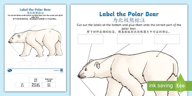 Label the Polar Bear Worksheet - English/Mandarin Chinese
