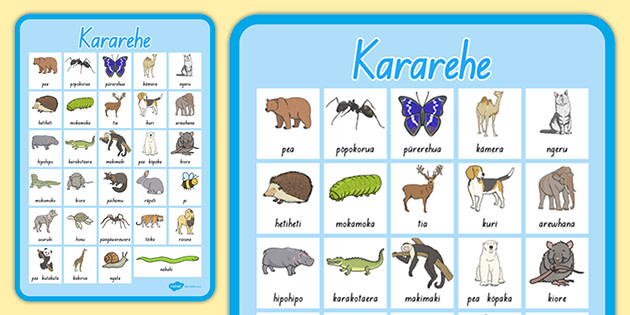 Animals Display Poster (teacher made)