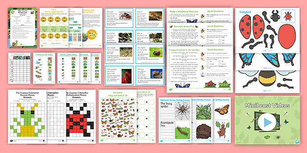 Minibeasts Activity Pack - Home Learning Resrouces
