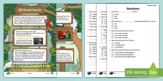 KS1 All About Parrots Differentiated Reading Comprehension Activity