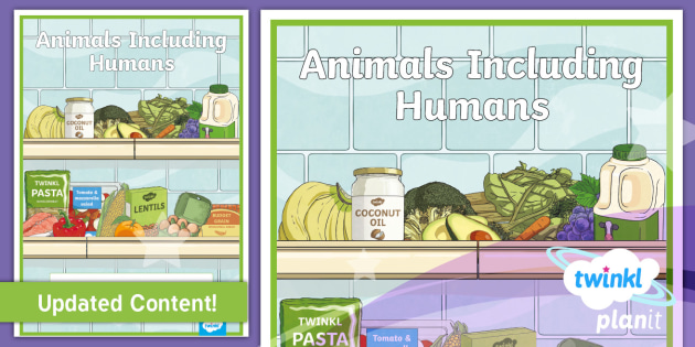 Science: Animals Including Humans Year 3 Unit Book Cover