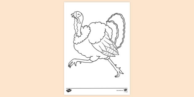 Turkey Art Activities | twinkl.co.uk