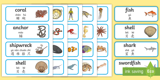 Under the Sea Word Cards English/Mandarin Chinese/Pinyin