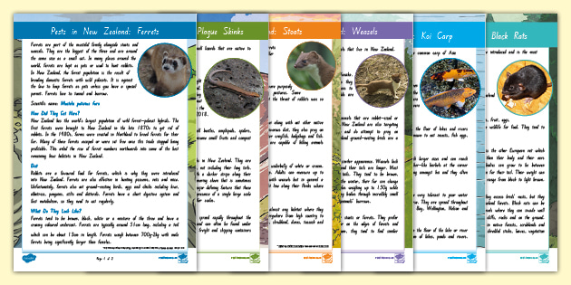 Pests in New Zealand Resource Pack One (Teacher-Made)