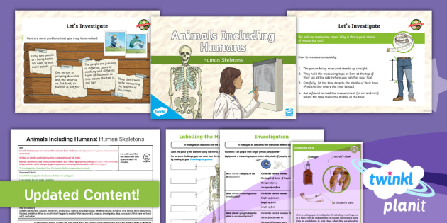 The Human Skeleton For KS2 | Year 3 Science Lesson Pack