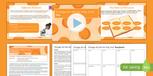 GCSE Oranges Are Not the Only Fruit Lesson Pack: Plot