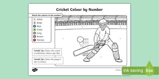 FREE! - Cricket Colour By Number (teacher made)