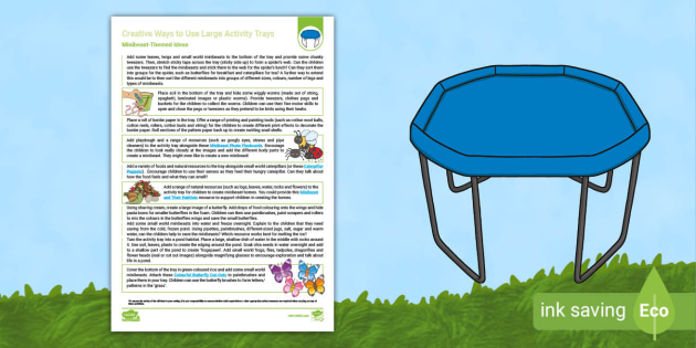 Minibeast-Themed Ideas for Activity Trays | EYFS