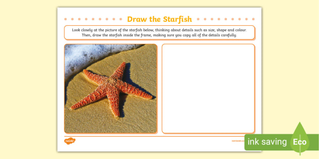 * NEW * Draw the Starfish Art Activity,Starfish,Star Fish