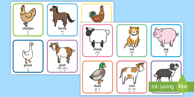 Cute Farm Animals Matching Cards English/Mandarin Chinese/Pinyin - Farm
