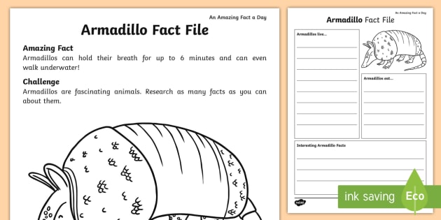 Armadillo Habitat Fact File (teacher made) - Twinkl