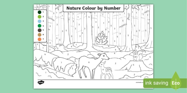 FREE! - Nature Colour by Number (teacher made)