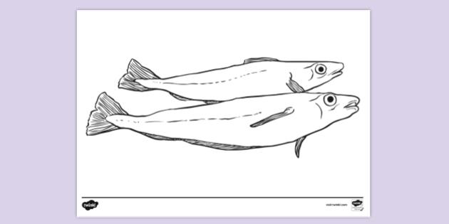 FREE! - Whiting Fish Colouring Sheet | Colouring Sheets