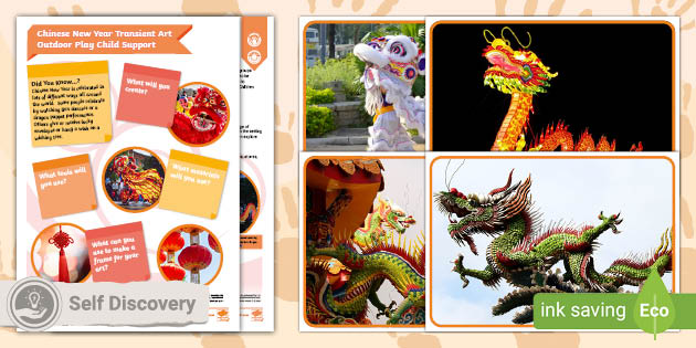 Transient Quantic Presents The Western Transient – A New