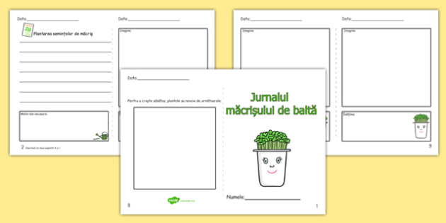 Jurnalul măcrișului de baltă - Creșterea plantelor