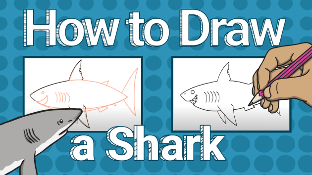 How to Draw a Shark | Twinkl Kid's TV (teacher made)
