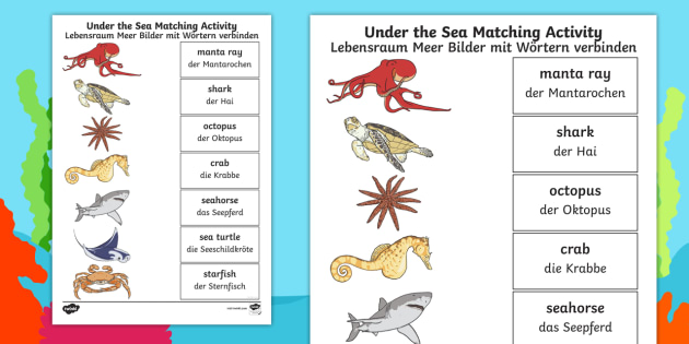 Under the Sea Differentiated Word and Picture Matching Worksheet
