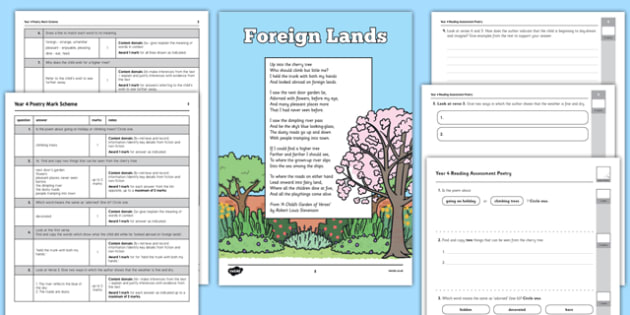 Year 4 Term 3 Poetry Reading Assessment (teacher made)