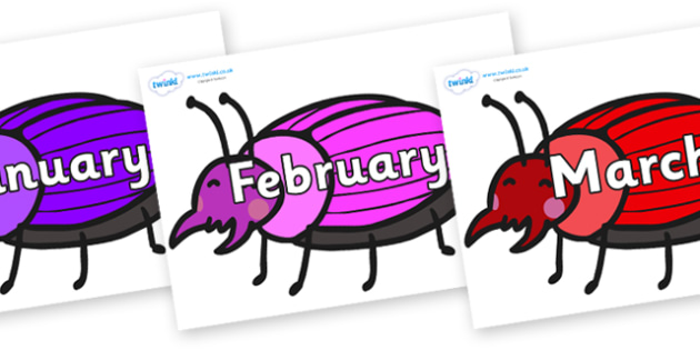 Months of the Year on Beetles (Teacher-Made)