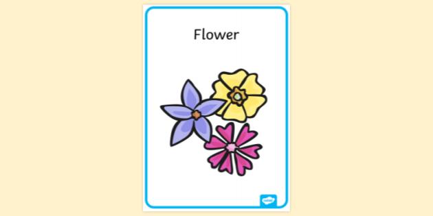FREE! - Flower Poster Page | Display Poster | Primary Resources