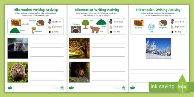 Hibernation Science Activities | twinkl.co.uk