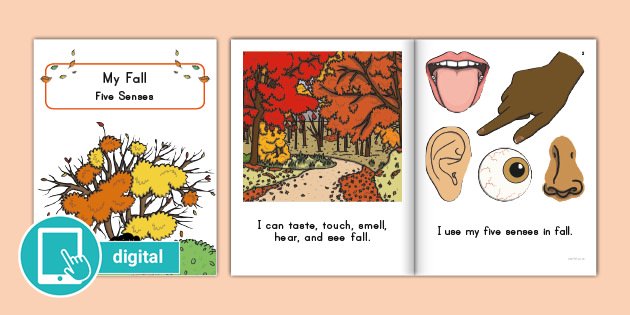 My Fall Five Senses Emergent Reader eBook (teacher made)