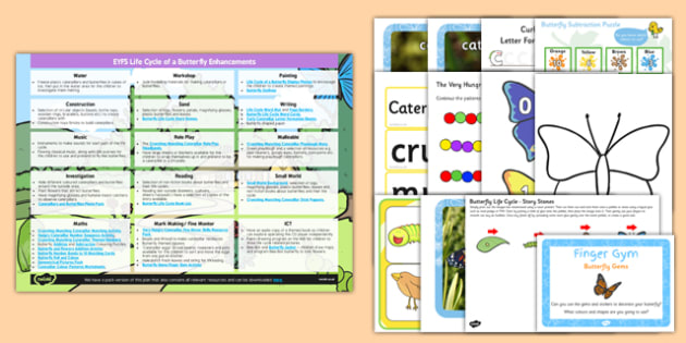 EYFS Life Cycle of a Butterfly Enhancement Ideas Resources Pack - planning