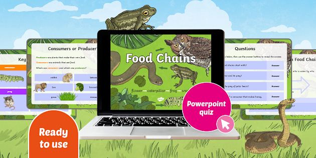 What fun and creative projects about animals can I try? - Twinkl ...