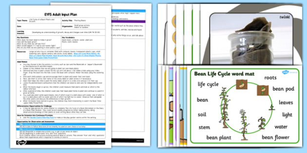 Planting Beans EYFS Adult Input Plan and Resource Pack
