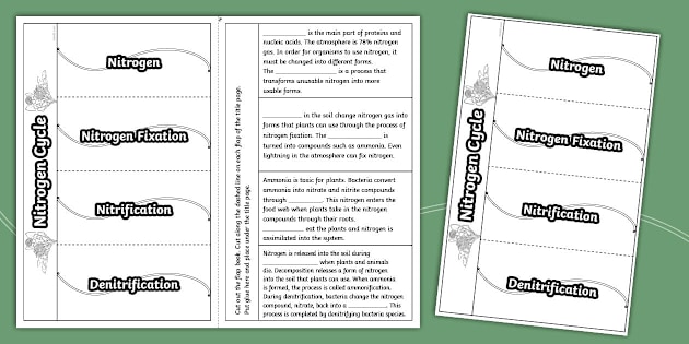 Nitrogen Cycle 5e Lesson Plan Nitrogen Cycle Lesson