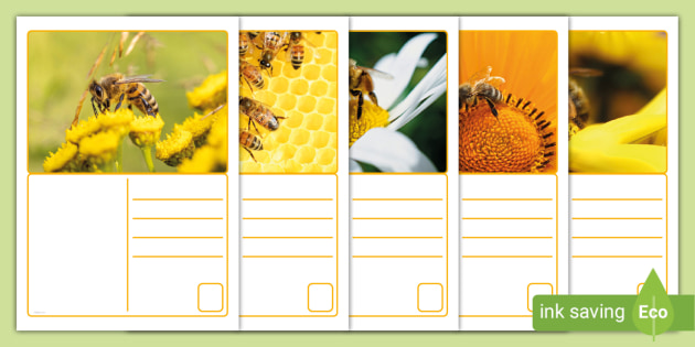 FREE! - Bee Postcards (teacher made)