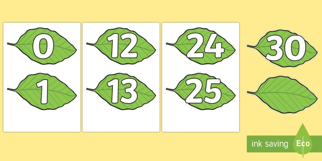 Numbers 0-30 on Leaves Display Cut-Outs (teacher made)
