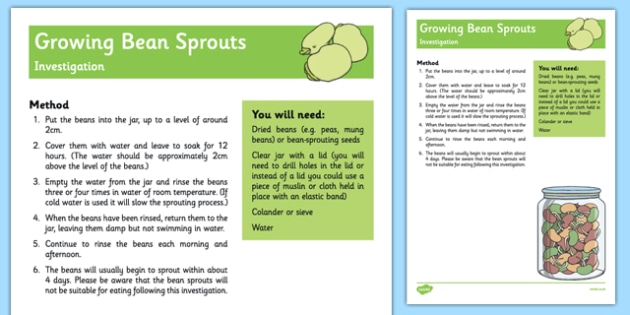 Growing Bean Sprouts Investigation (teacher made)