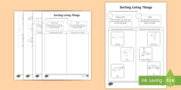 Sorting Living Things Worksheet (teacher made)