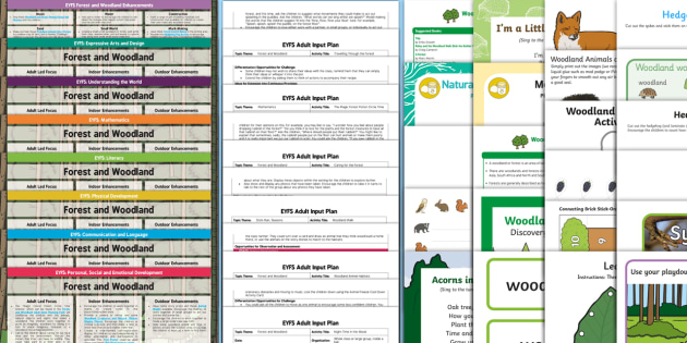 EYFS Forest and Woodland Lesson Plan Enhancement Ideas and Resources Pack