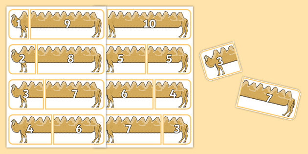 Alice The Camel Number Bonds To Ten