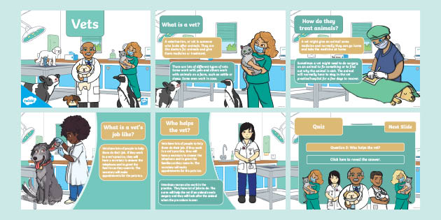 Vets PowerPoint Presentation First and Second Classes