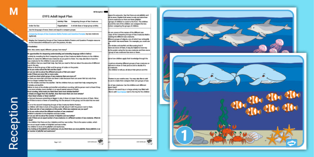 EYFS Comparing Groups of Sea Creatures Adult Input Plan