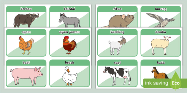 Animals Flash Cards Indonesian (teacher made)