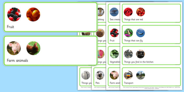 Add Three More to the Category Activity (teacher made)