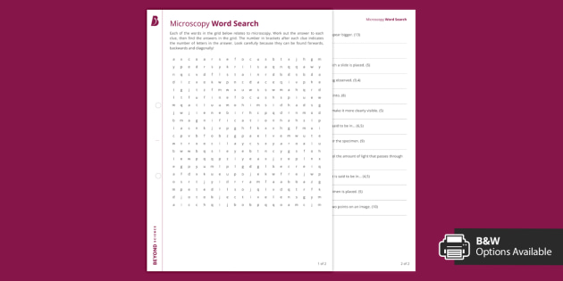 Microscopy Word Search (teacher made)