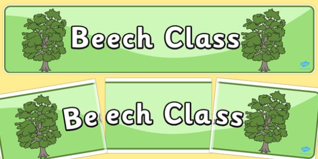 Beech Class Display Banner (teacher made)