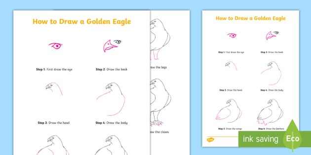 How to Draw a Golden Eagle Step by Step - CfE Second Level
