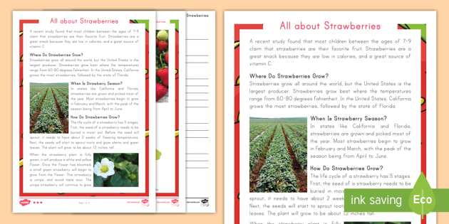 All About Strawberries Differentiated Reading Comprehension