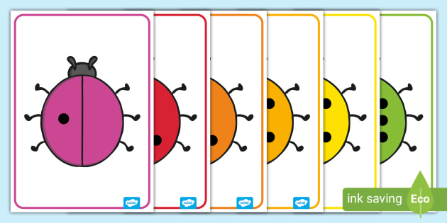 Counting Ladybird Spots to 20 Display Posters (teacher made)