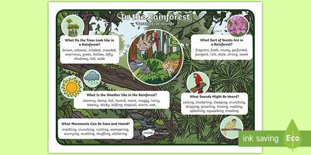 KS1 In the Rainforest Descriptive Word Mat (teacher made)