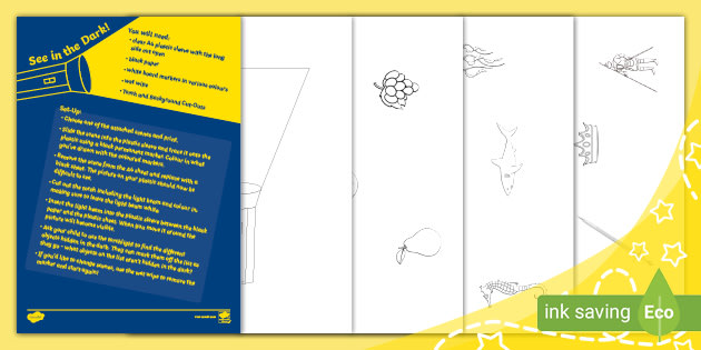 Torches Science Activities | twinkl.co.uk